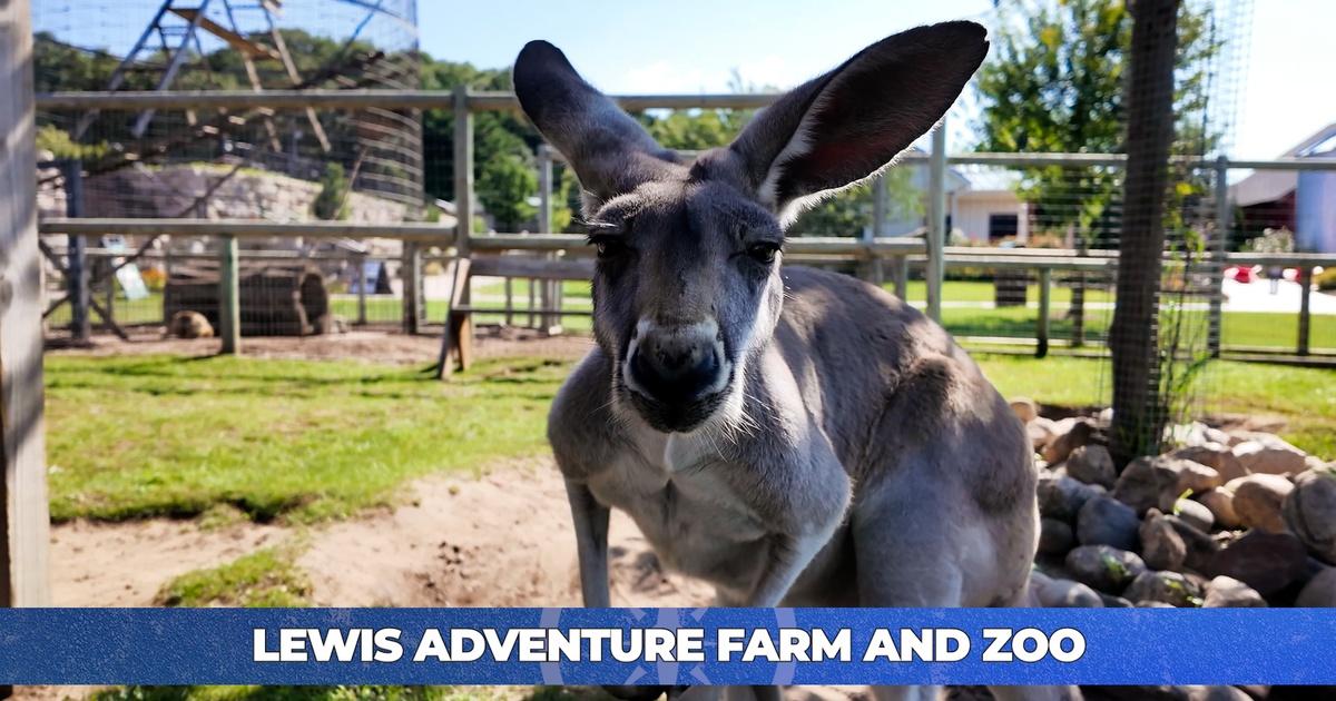 Destination Michigan | Lewis Adventure Farm and Zoo | Season 15 ...
