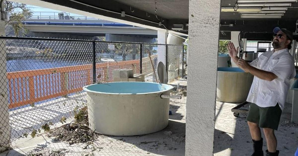 Hurricane Ian Coverage | PBS