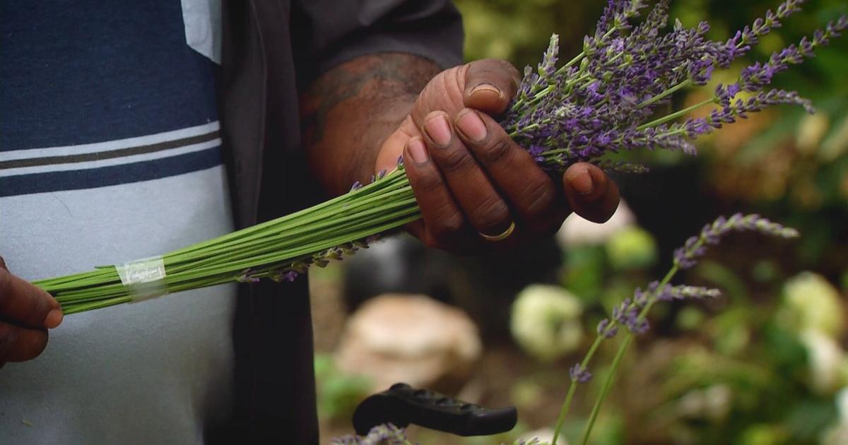 Virginia Home Grown | Uses for Lavender | Season 23 | Episode 4 | KPBS