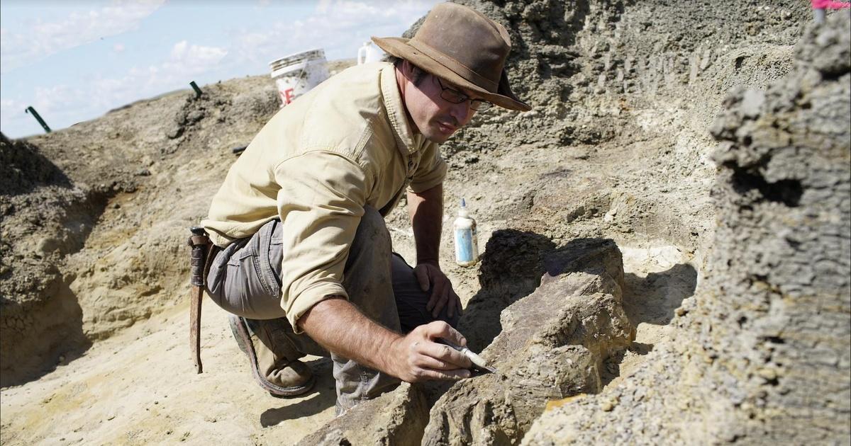 NOVA | New Fossil May Reveal Clues to Dinosaurs' Final Days | Season 49 ...