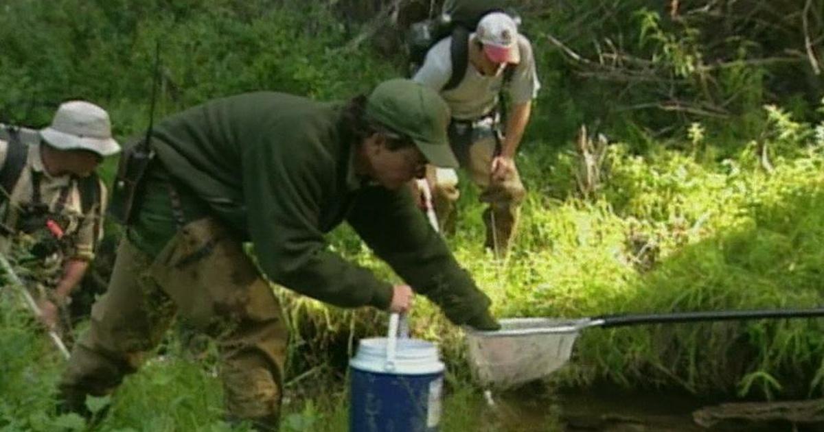 Oregon Field Guide | Season 12, Episode 12 | OPB