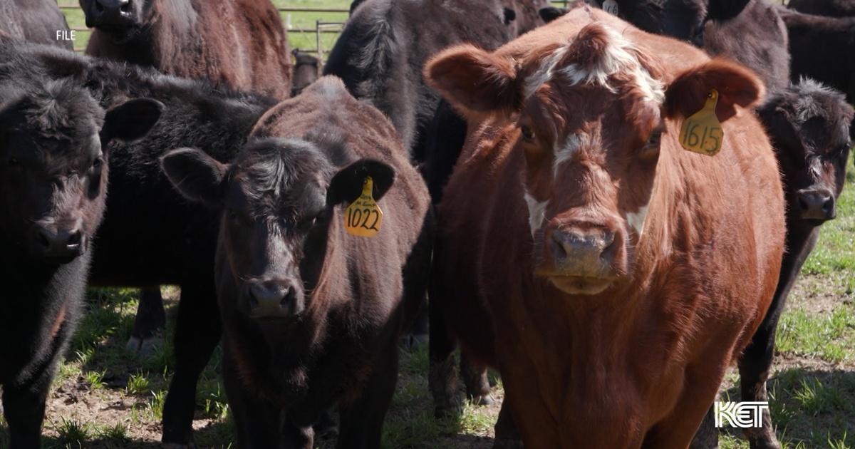 Kentucky Edition | October 23, 2025 | Season 4 | Episode 84 | PBS