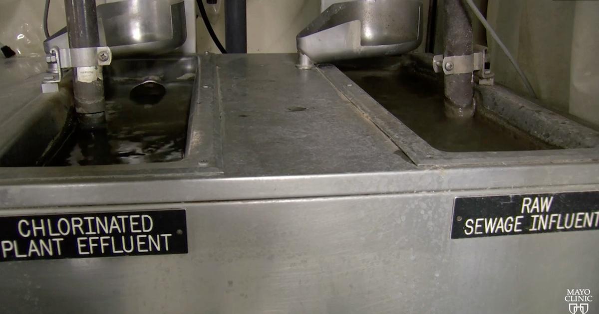 Northwest Now Digital First | Wastewater Virus Detection | Season 2026 ...