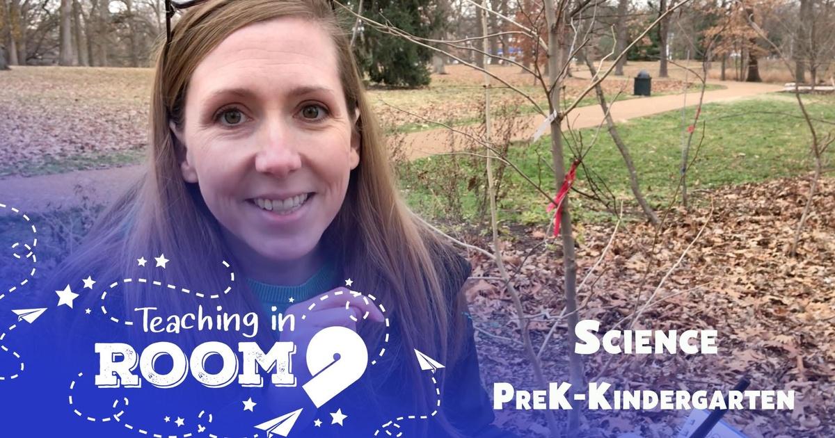 Teaching in Room 9 | Plants are Living Things | PreK-Kindergarten ...