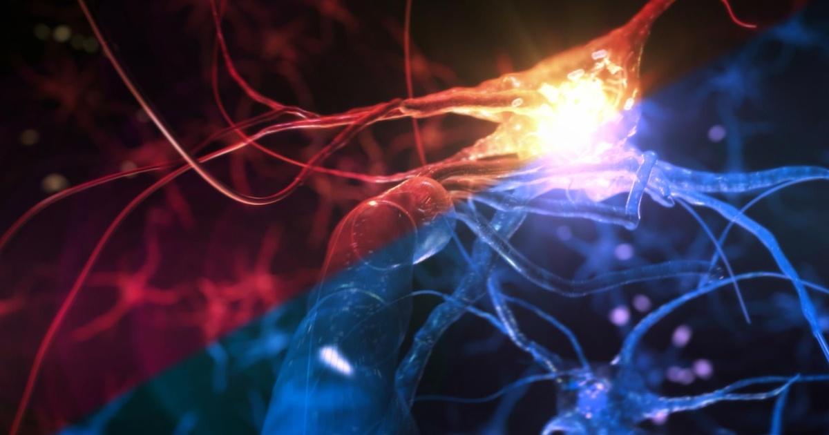 NOVA | Modern Politics Activates the Brain's Ancient Wiring | Season 45 ...