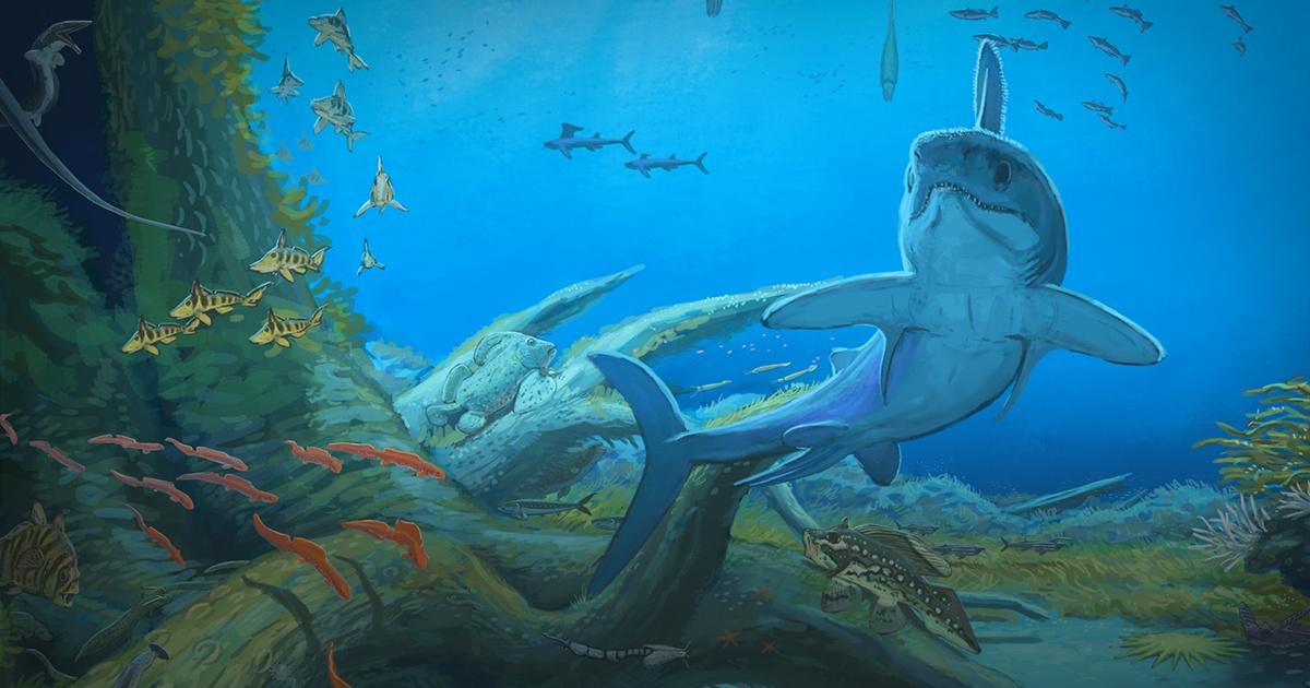 Eons | The Golden Age of Sharks | Season 8 | Episode 2 | PBS