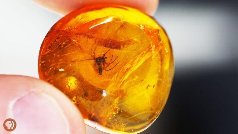 It's Okay to Be Smart | PBS