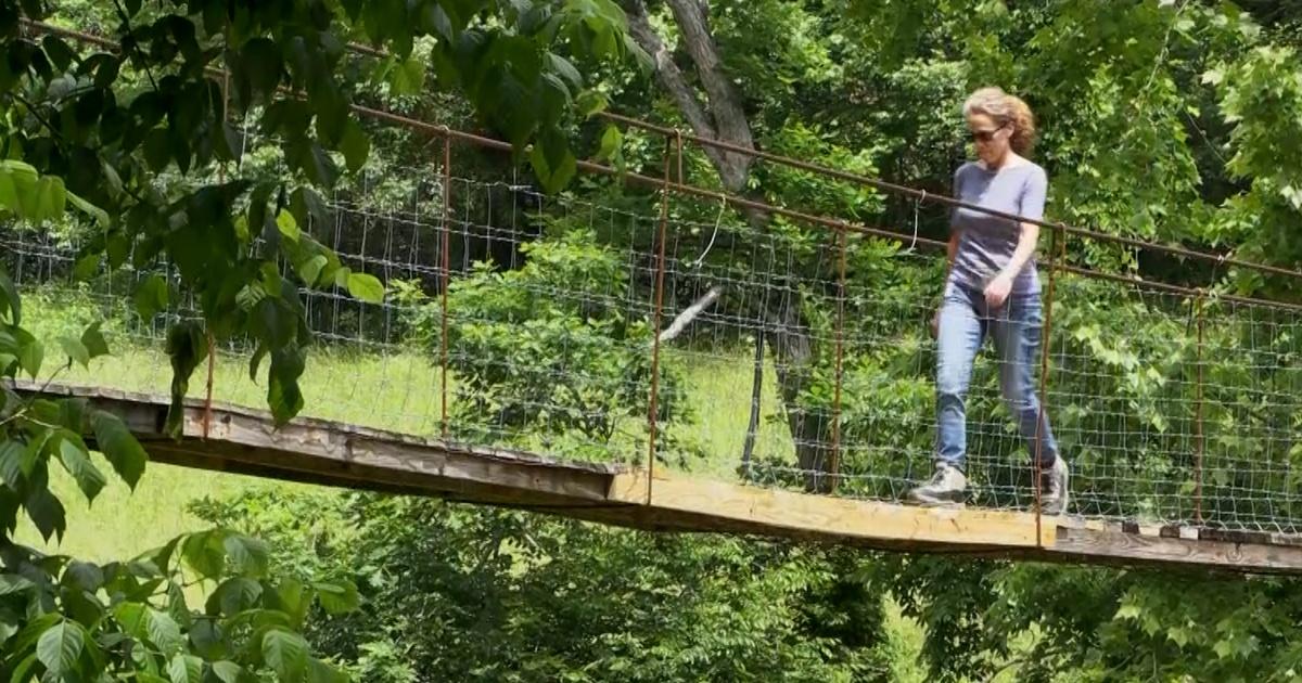 Kentucky Edition | Kentucky's Swinging Bridges Get New Support | Season ...