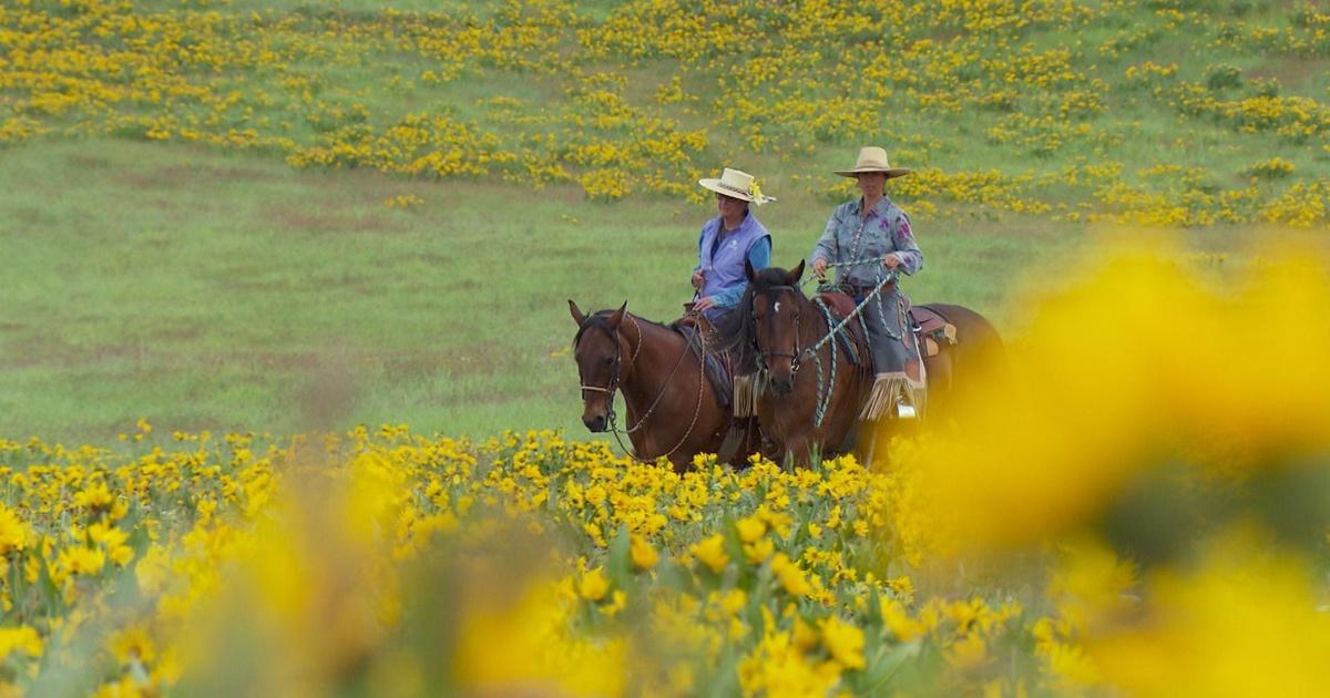 Oregon Field Guide | Colorful Cowgirl | Season 34 | Episode 11 | OPB