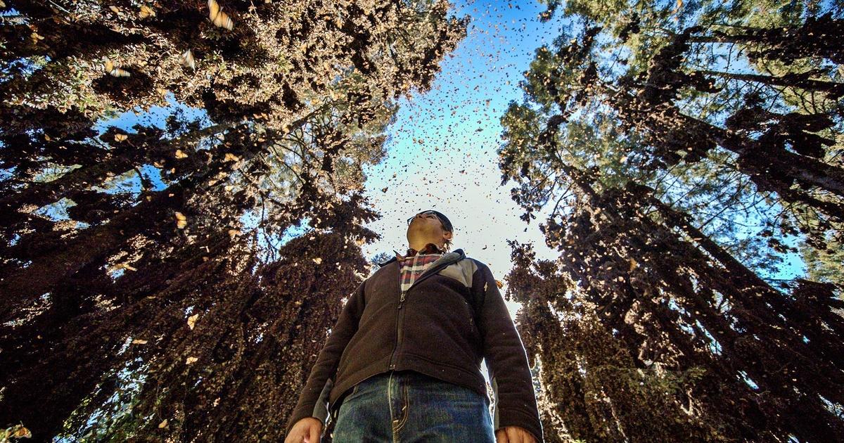 Dynamic Planet | Earth | Episode 4 | PBS