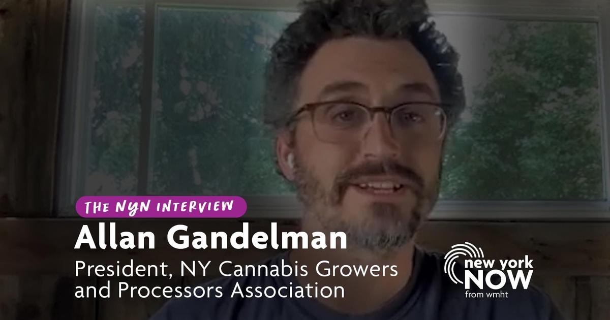 New York NOW | Interview with Allan Gandelman: Cannabis in New York ...