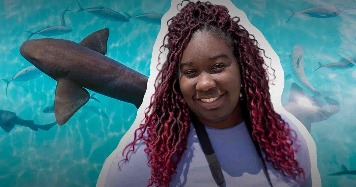 Sharks Unknown with Jasmin Graham | Shark "Traffic Jam": Inside a ...