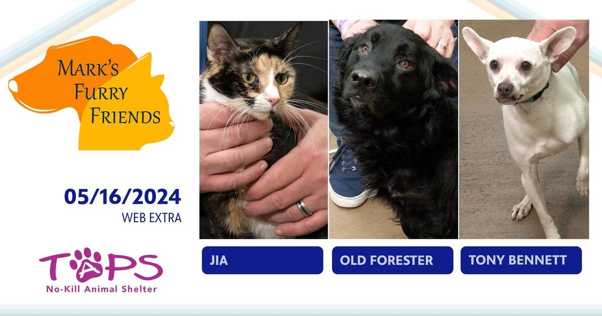 Mark’s Furry Friends | 05/16/2024 | Jia, Old Forester and Tony Bennett ...