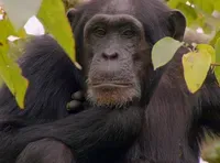 NOVA | NOVA Wonders What Are Animals Saying? | Season 45 | Episode 101 ...