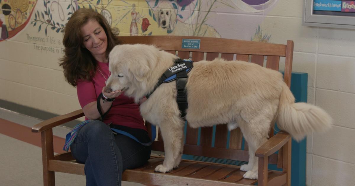 Animal Talk | Where’s Little Bear? Part 2: Hoxsie Elementary School | Season 4 | Episode 4 | PBS