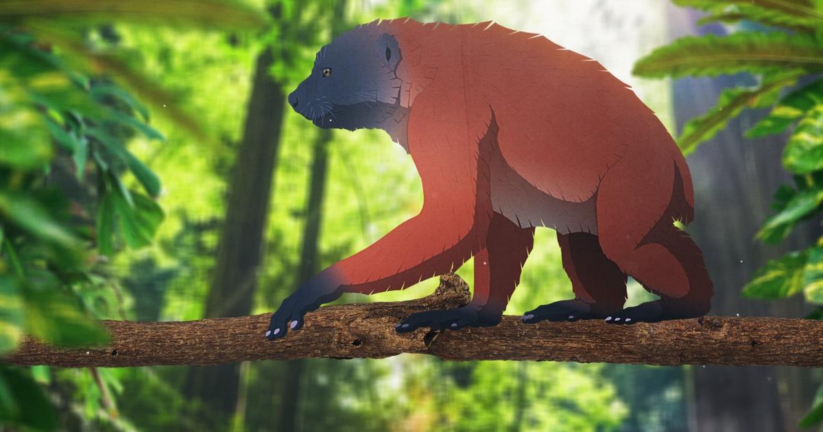 Eons | When Giant Lemurs Ruled Madagascar | Season 2 | Episode 37 | PBS