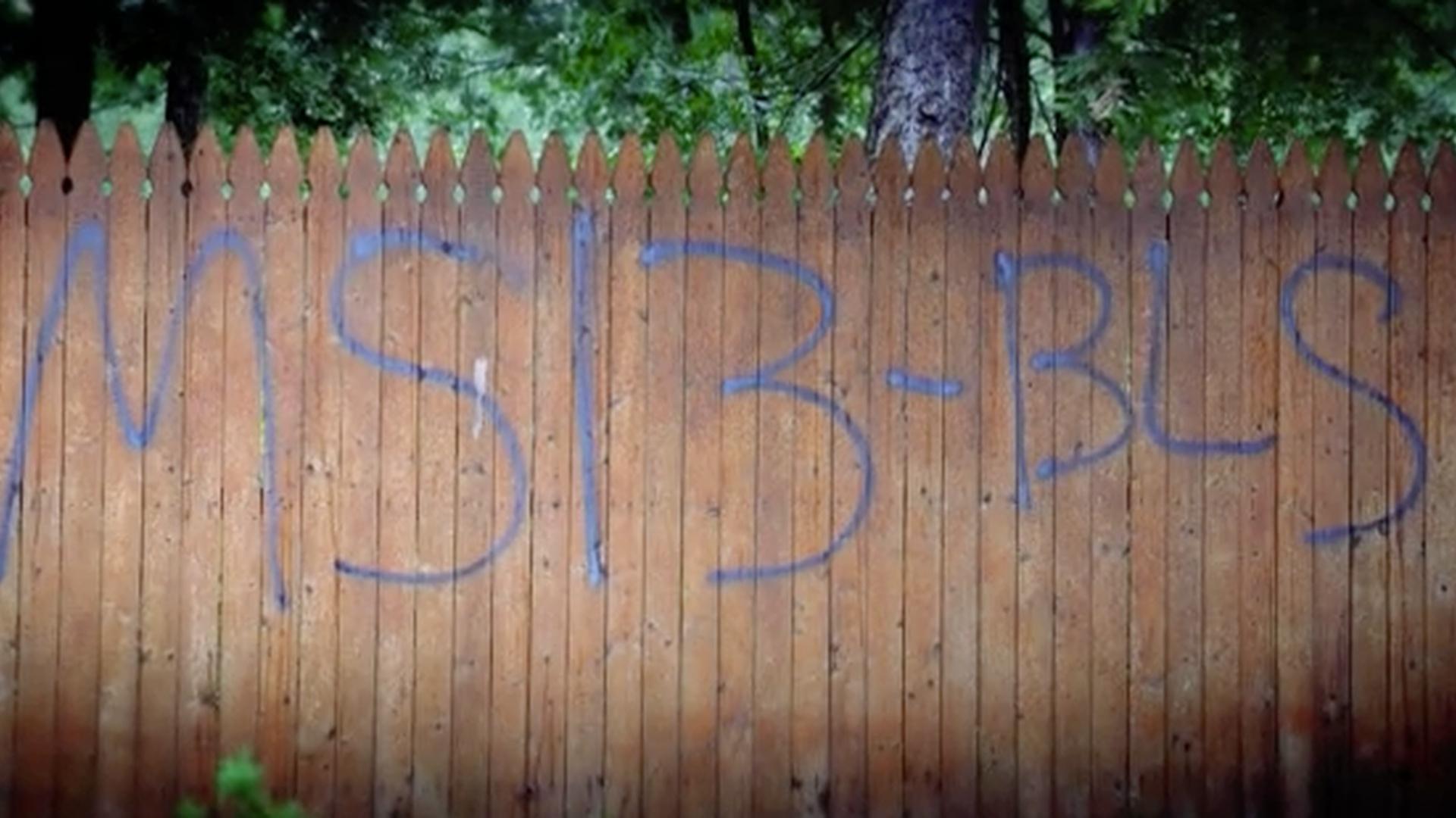 PBS Previews: The Gang Crackdown | FRONTLINE | THIRTEEN - New York ...