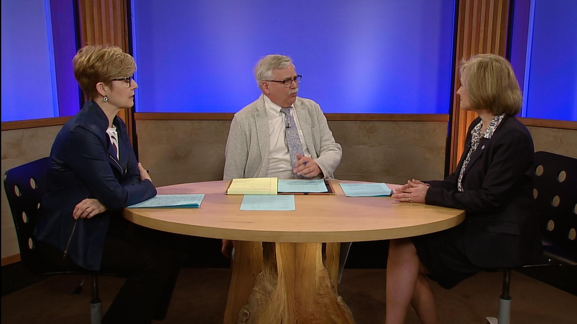 Almanac - House Fraud Committee Chair - Twin Cities PBS