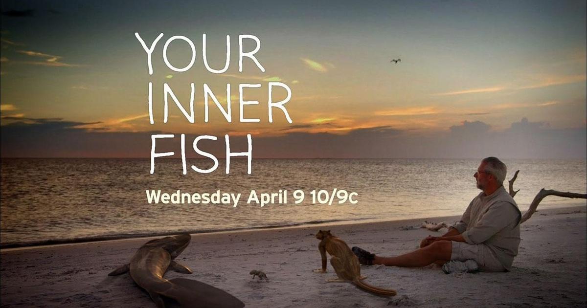 Arizona PBS Previews | Your Inner Fish | PBS