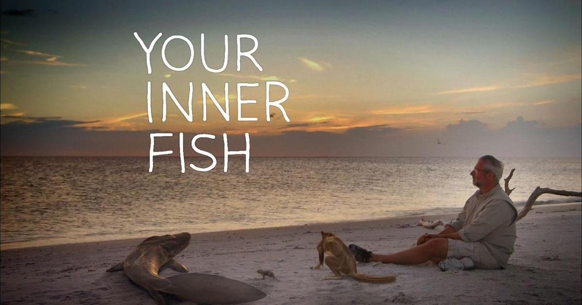 Arizona PBS Previews | Your Inner Fish: Part 3 - Your Inner Monkey | PBS