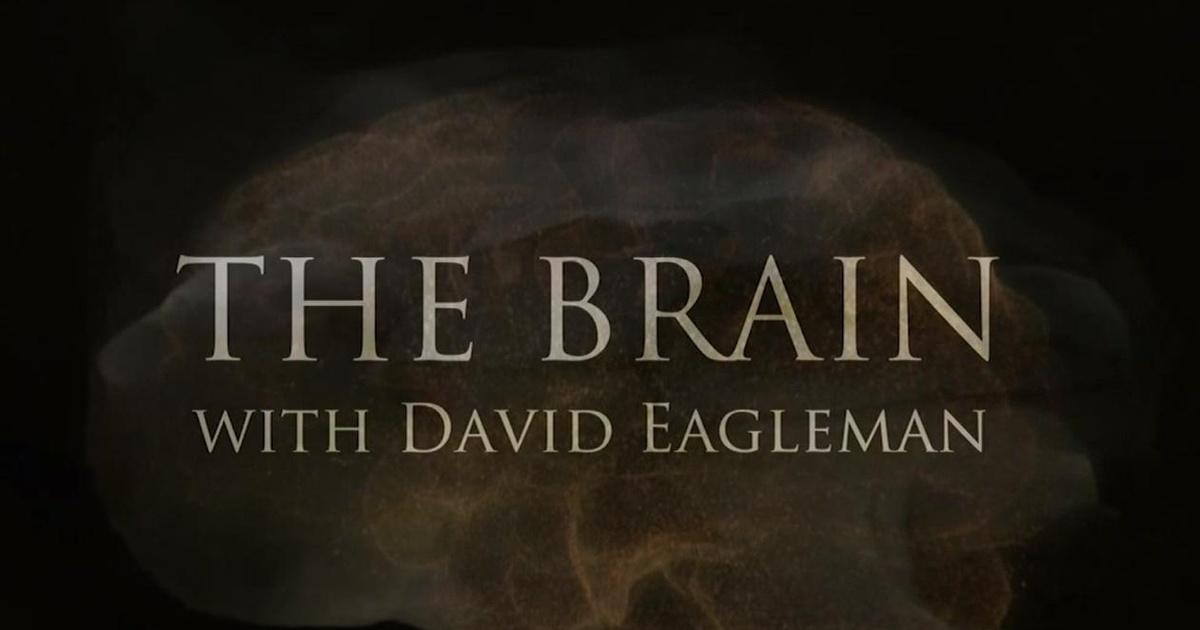 The Brain with David Eagleman: Who Will We Be? | Arizona PBS Previews | PBS