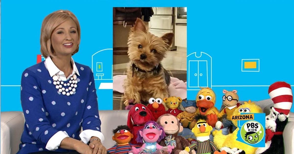 Arizona PBS Previews | Get to Know Wrigley! | PBS