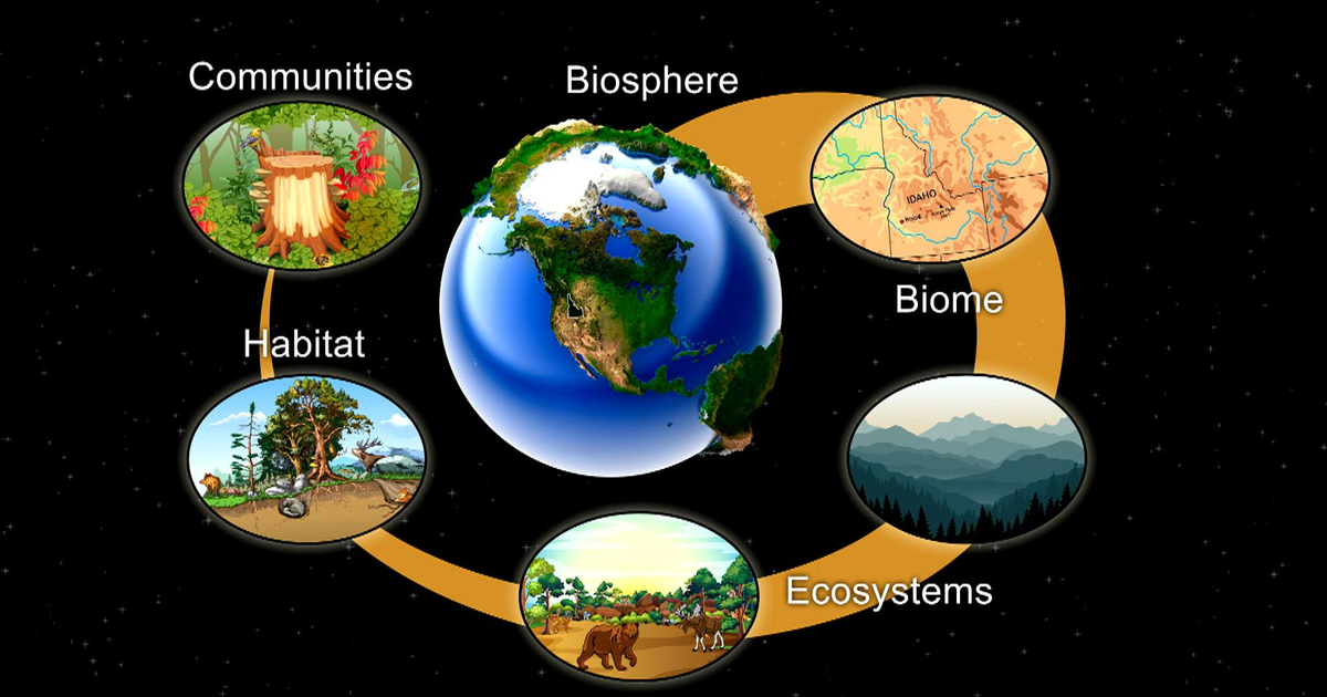 Science Trek | Idaho Ecosystems | WTTW
