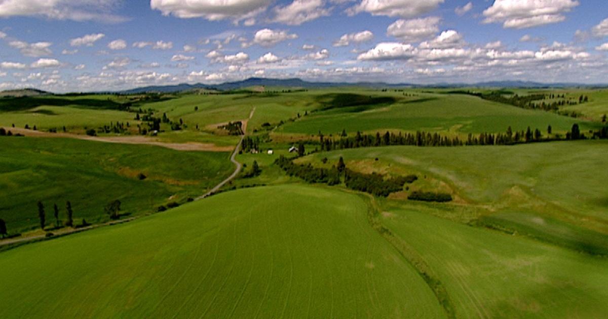 Science Trek | The Web Show: Idaho Ecosystems | PBS