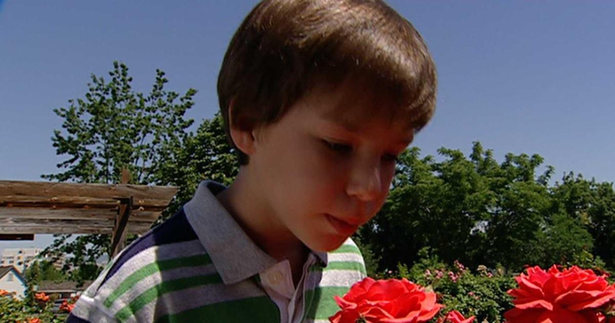 Science Trek | Five Senses | PBS