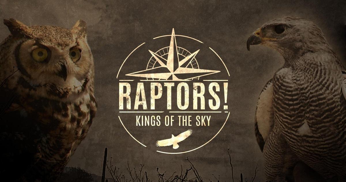 Raptors: Kings of the Sky | Raptors!: Kings of the Sky | PBS