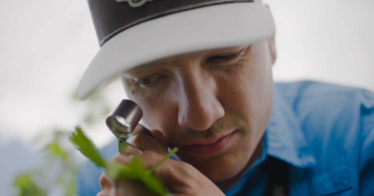 Human Footprint | Season 2 | Episode 2 Preview | PBS