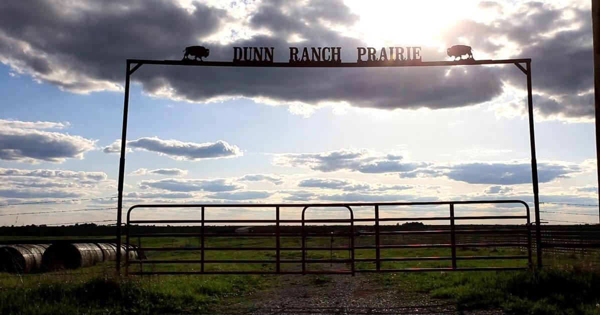The Local Show | Dunn Ranch Prairie Shows Grassland Restoration - May ...