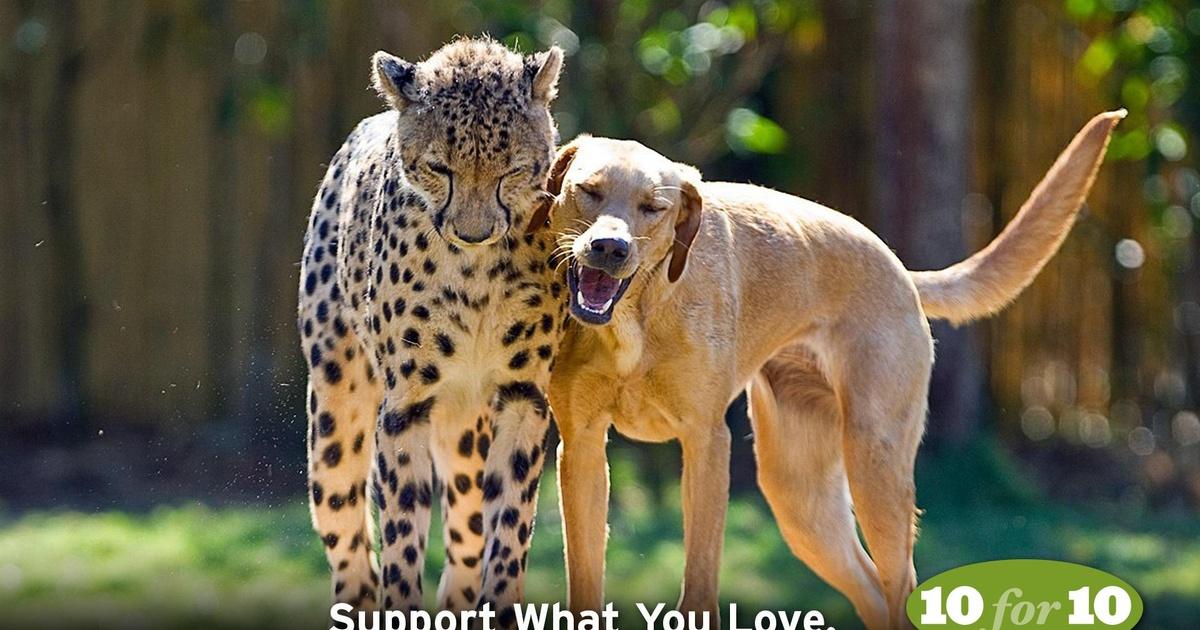 KCTS 9 | Support What You Love in July | KCTS 9 | PBS