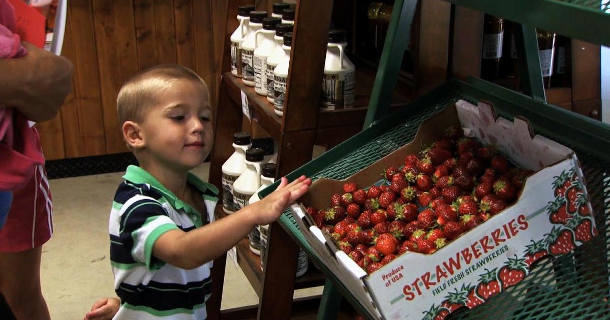 Iowa Ingredient | Iowa Ingredient | Strawberries (#302) | Season 3 ...