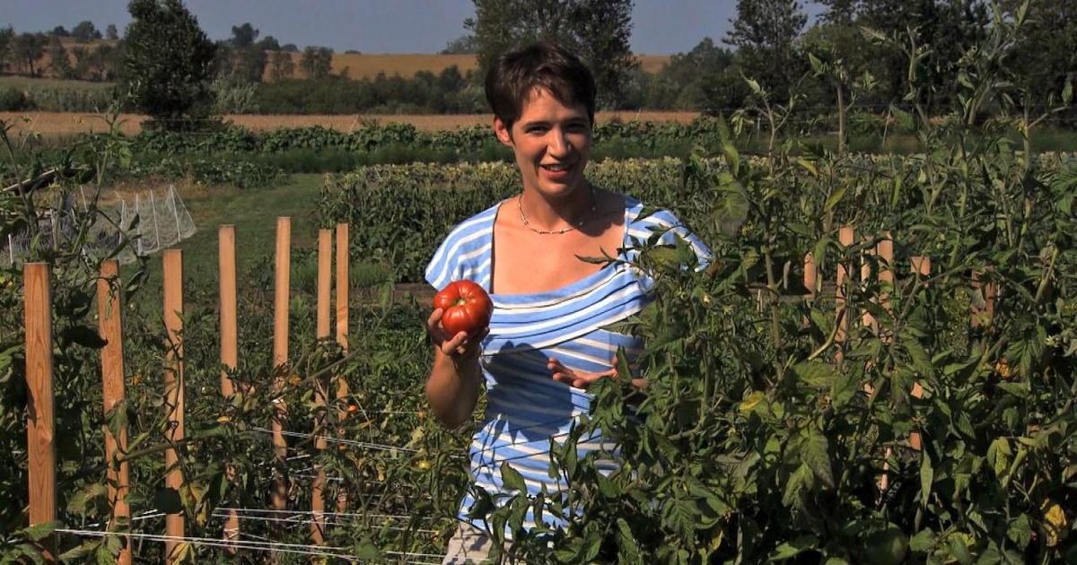 Iowa Ingredient | Iowa Ingredient | Tomatoes (#306) | Season 3 ...