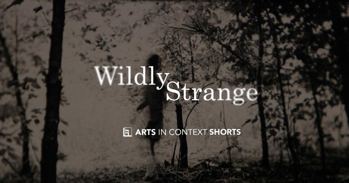 Arts in Context | Wildly Strange | PBS