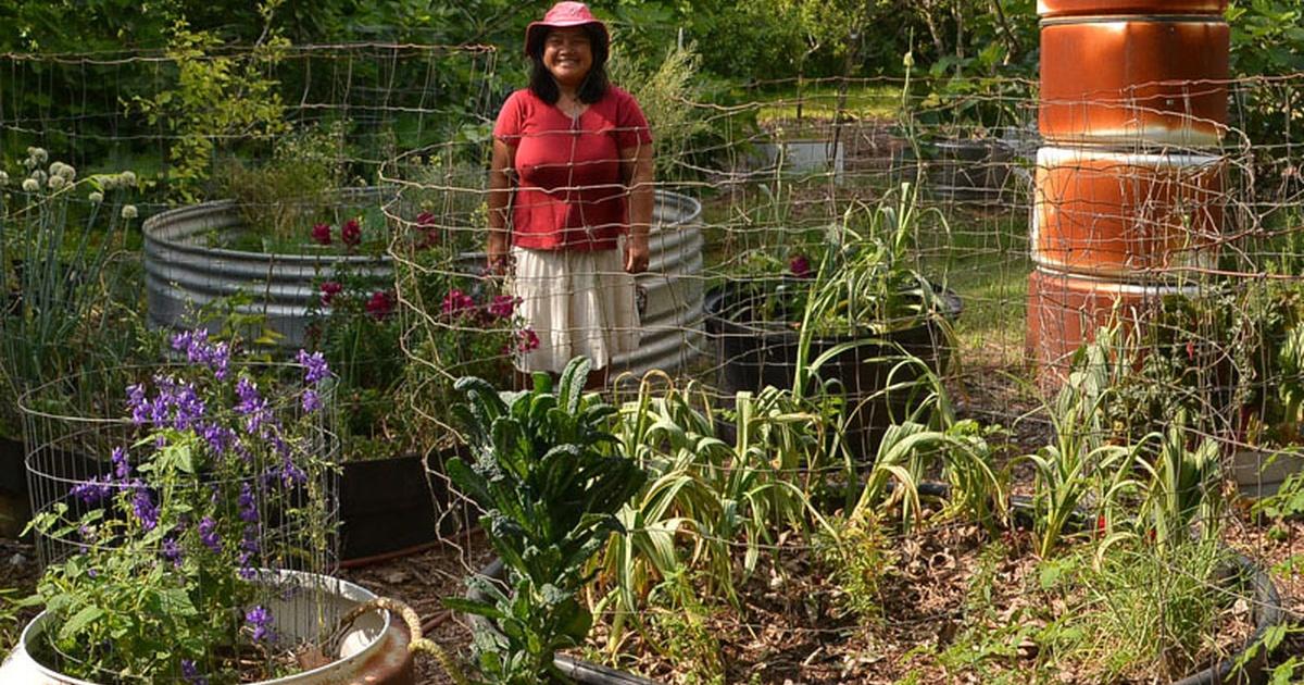 Central Texas Gardener Healing Helpful Plants Pbs