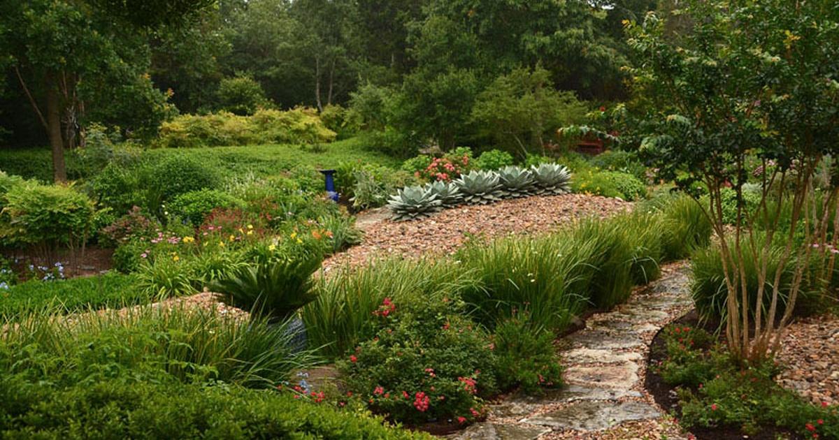 Central Texas Gardener Garden Rehab Pbs