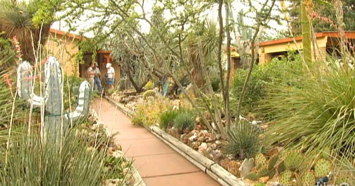 Central Texas Gardener Hardy Agaves Season 18 Episode 33 Pbs