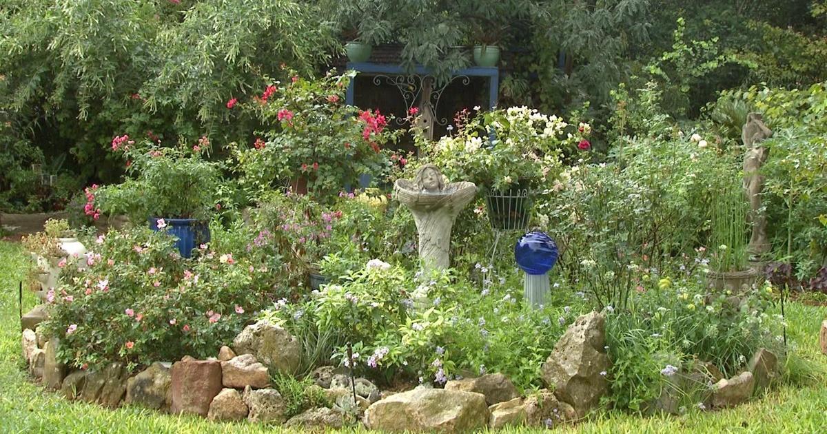 Central Texas Gardener | Tropical Edibles | Season 19 | Episode 18 | PBS