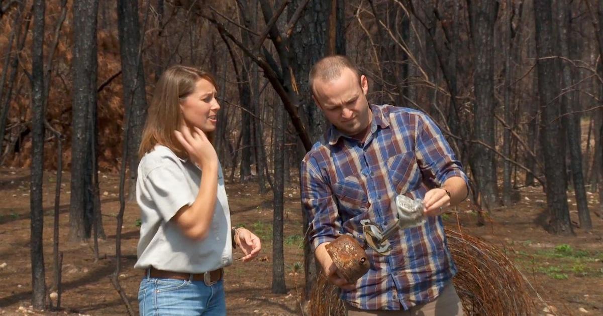 The Daytripper | Return to Bastrop, TX | Season 3 | Episode 10 | PBS