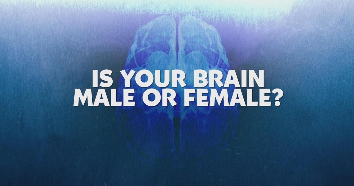 Is Your Brain Male or Female? Promo | Vegas PBS | PBS