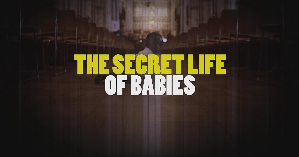 Vegas PBS | The Secret Life of Babies Promo | PBS