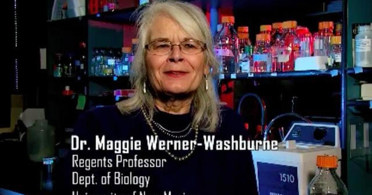 Why did you become a scientist? | Maggie Werner-Washburne | PBS