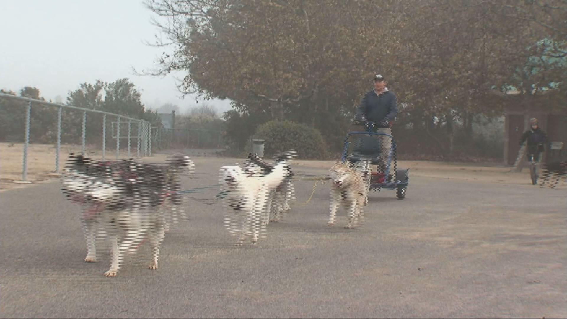 Video: Urban Mushing | Watch Real Orange Online | PBS SoCal/KOCE Video