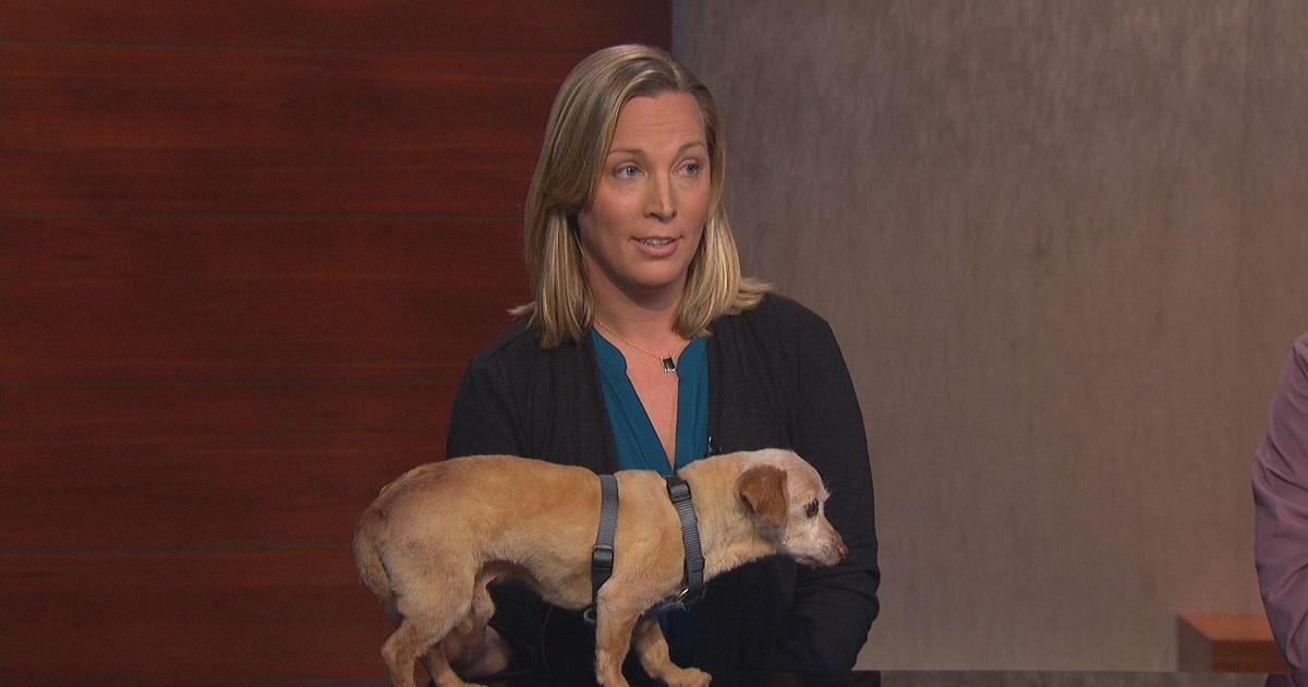 Real Orange | Long Lost Dog Returned By OC Animal Care | PBS