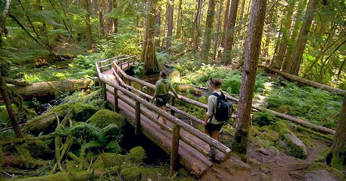 Oregon Field Guide | McKenzie River Trail | Season 25 | Episode 2510 | PBS