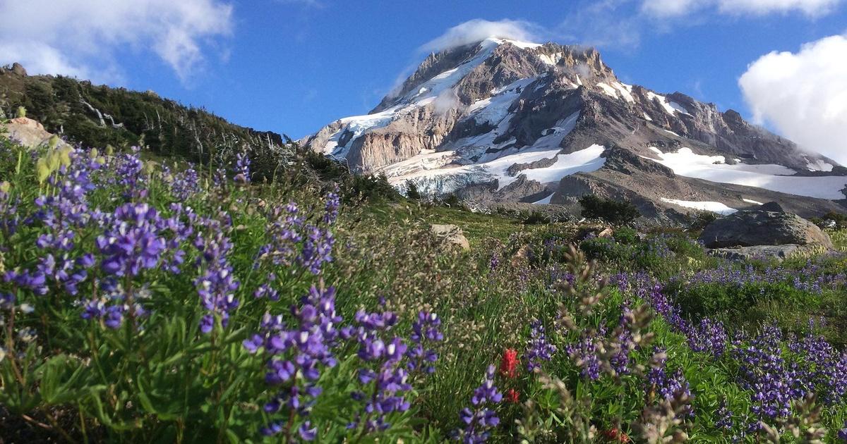 Oregon Field Guide | Wilderness Healing | Season 26 | Episode 2601 | PBS