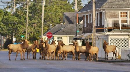 Oregon Field Guide | OPB