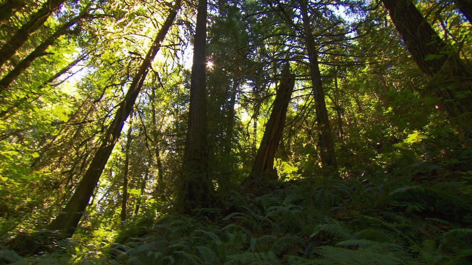 Oregon Field Guide | Season 26, Episode 6 | PBS